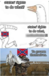 Neo-Confederate Ideology - ISD