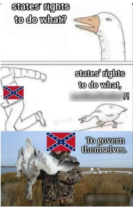 Neo-Confederate Ideology - ISD