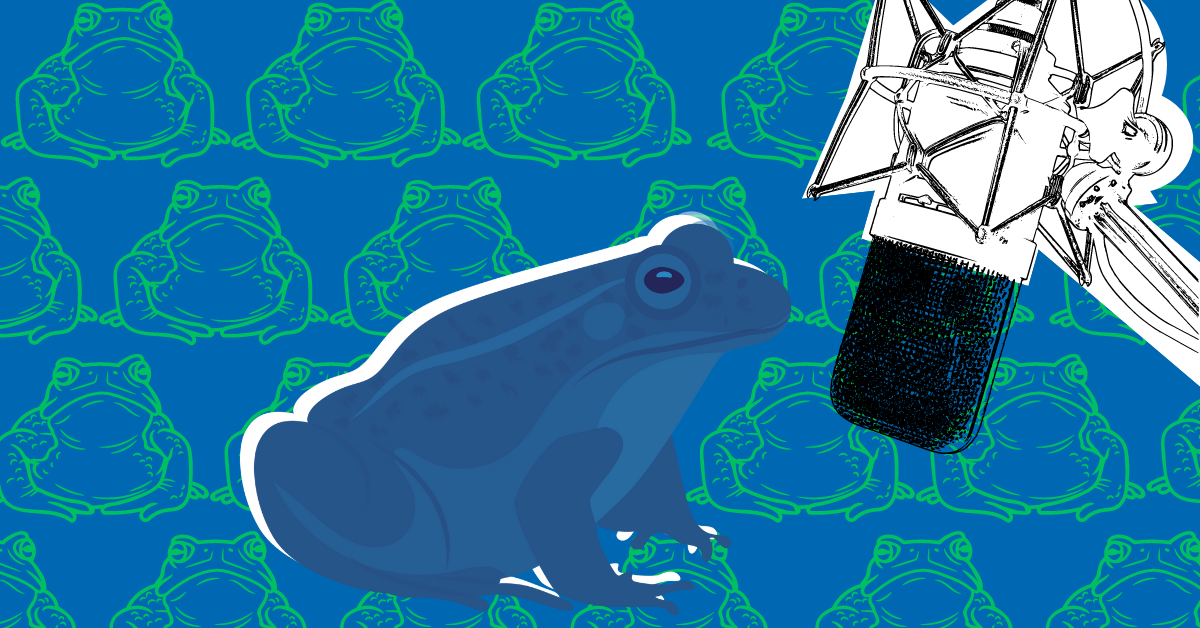 A ‘Groyper War’ struggles to exert influence but paves the way for ...