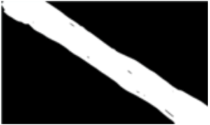 The rise of anti-South Asian hate in Canada - ISD